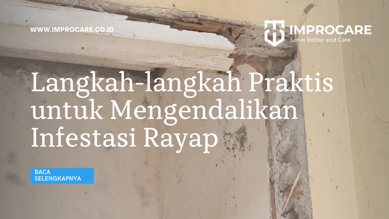 Strategi Terbaik Cara Mengatasi Rayap: Langkah-langkah Praktis untuk ...