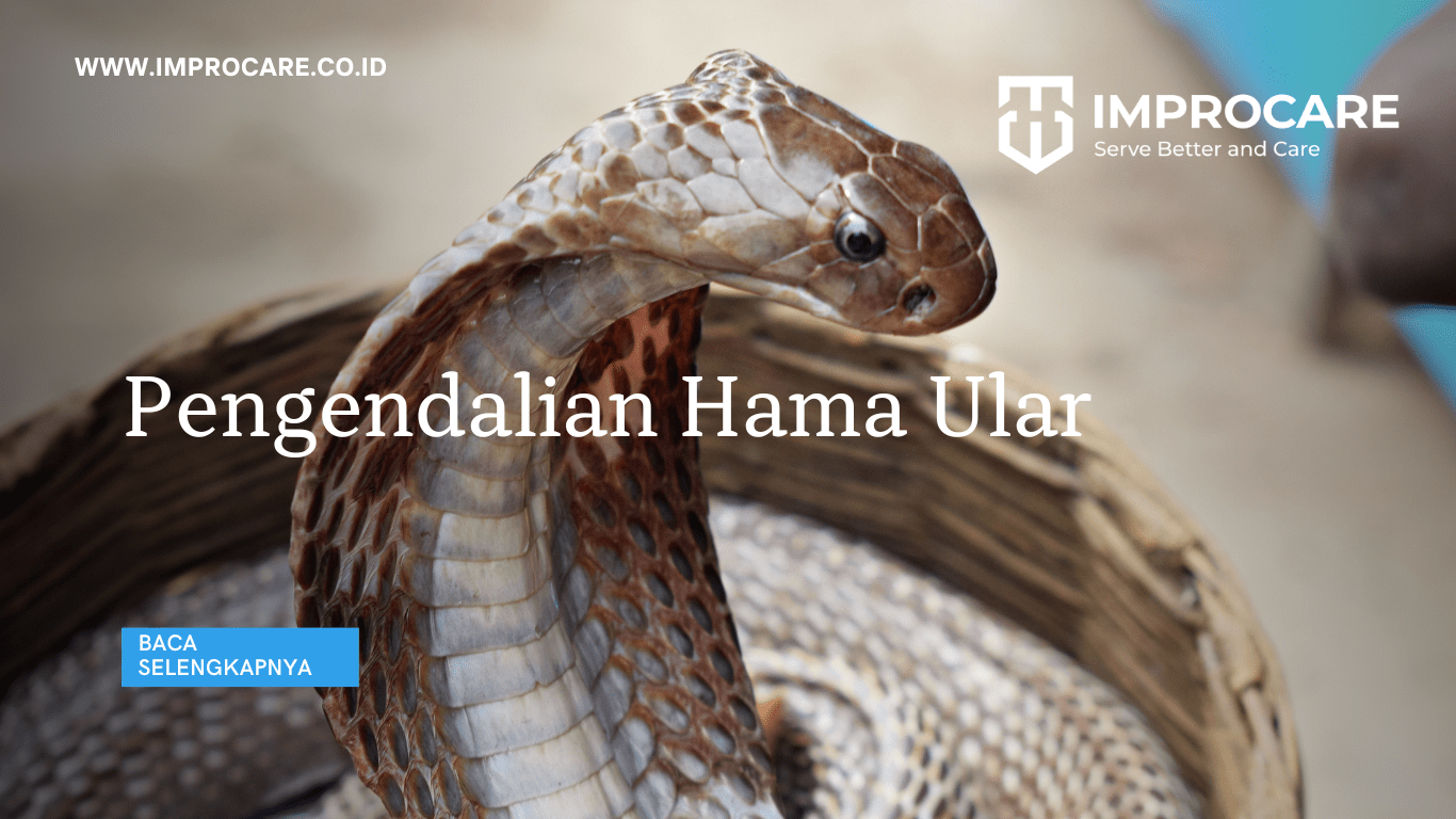 Pengendalian Hama Ular - PT Mahaka Improcare Indonesia