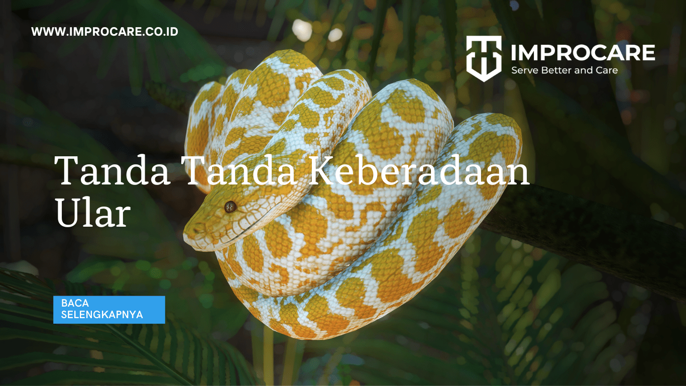 Tanda Tanda Keberadaan Ular - PT Mahaka Improcare Indonesia