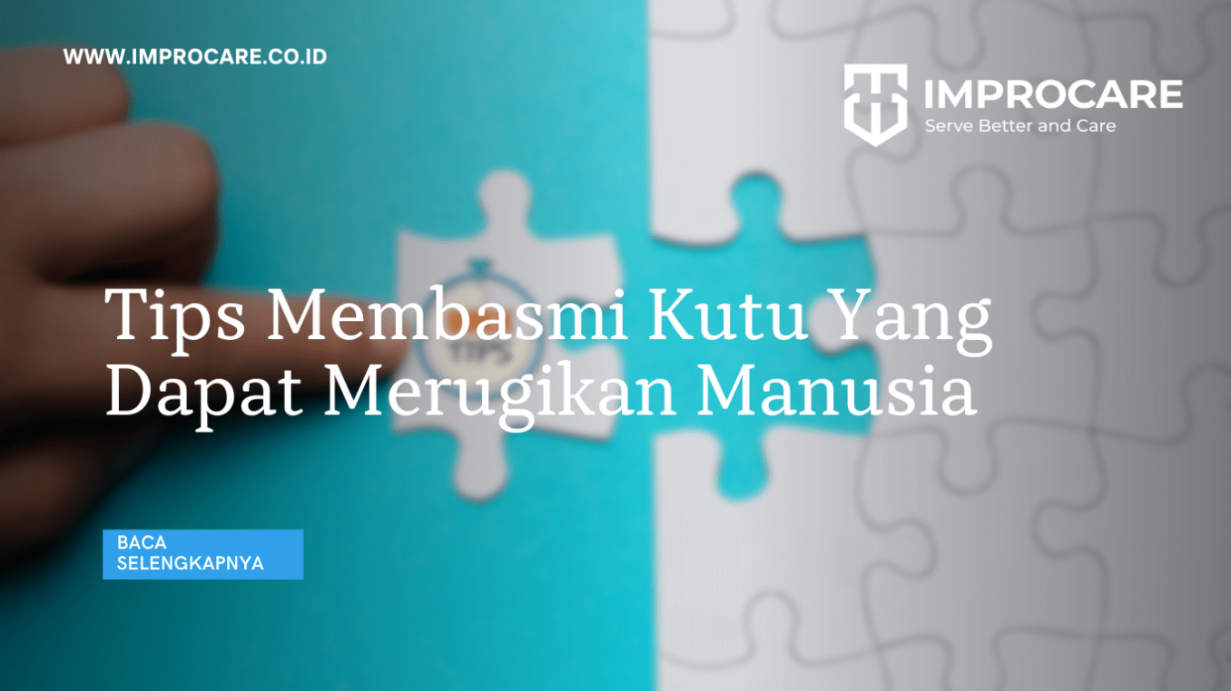 Tips Membasmi Kutu - PT Mahaka Improcare Indonesia