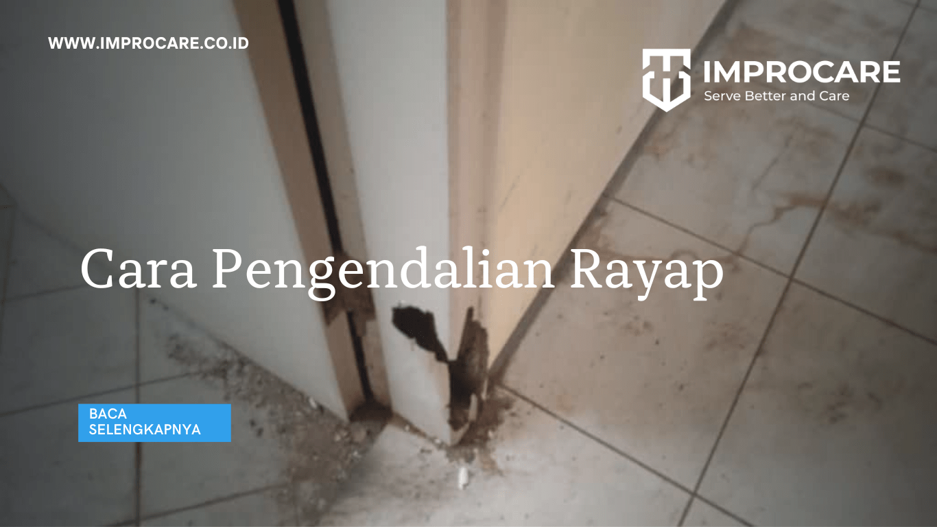 Cara Pengendalian Rayap yang Efektif: Tips dan Strategi Terbaik - PT ...