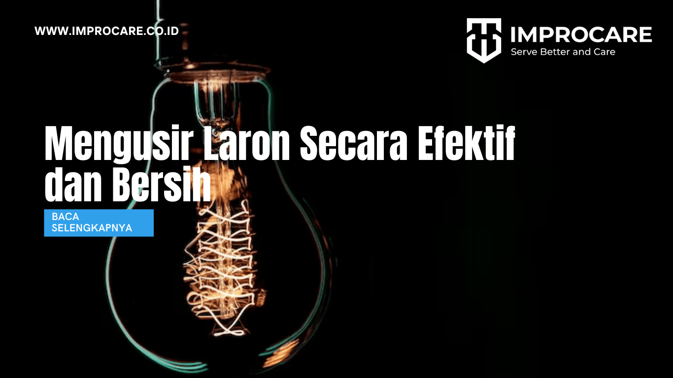 Mengusir Laron Yang Efektif - PT Mahaka Improcare Indonesia