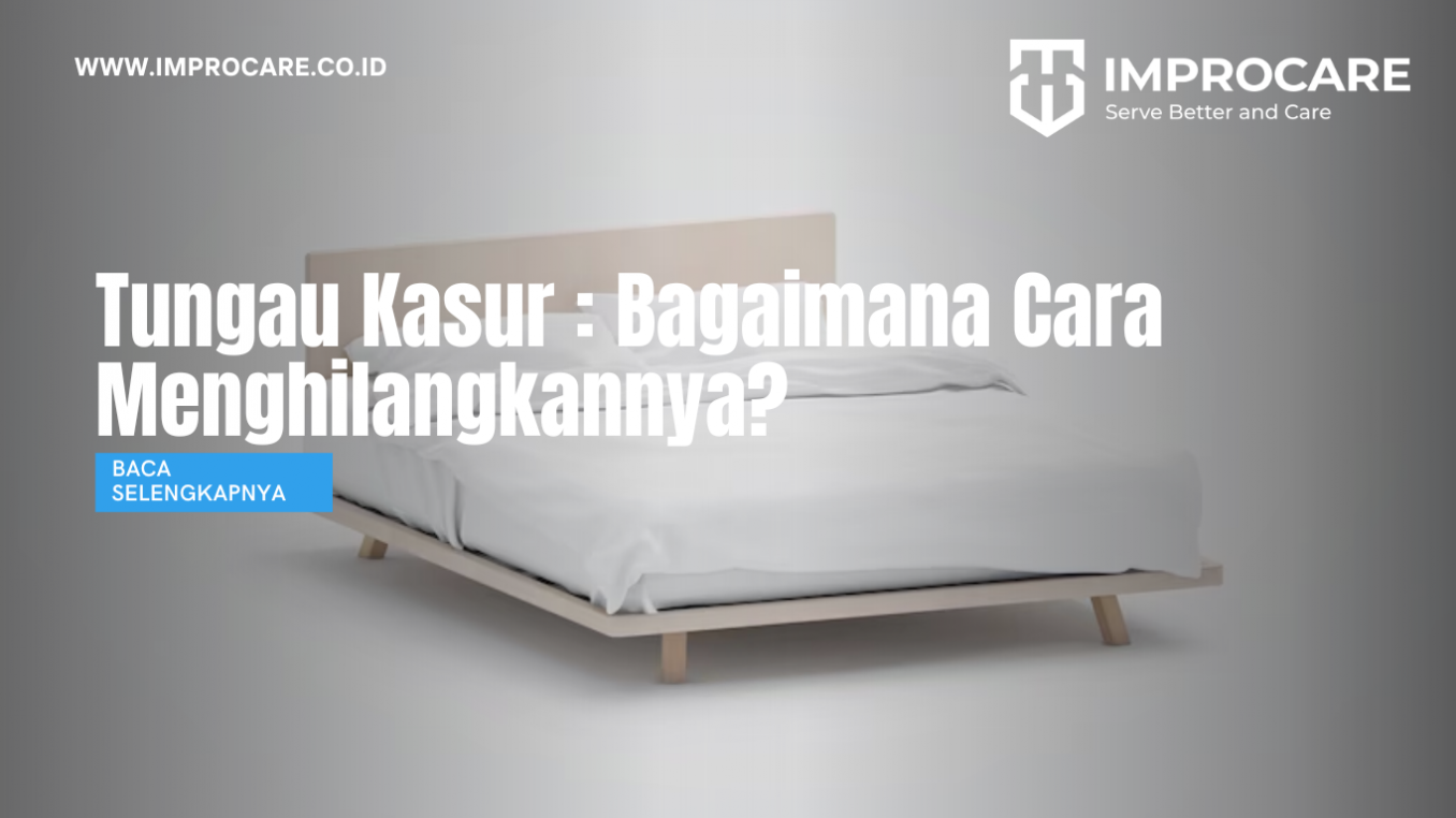 Tungau Kasur Bagaimana Cara Menghilangkannya? - PT Mahaka Improcare Indonesia