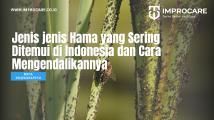 Jenis jenis Hama yang Sering Ditemui di Indonesia dan Cara ...