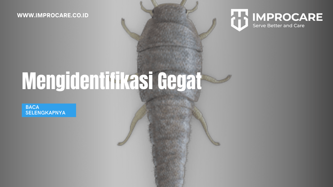 Mengidentifikasi Gegat Dengan Mudah - PT Mahaka Improcare Indonesia