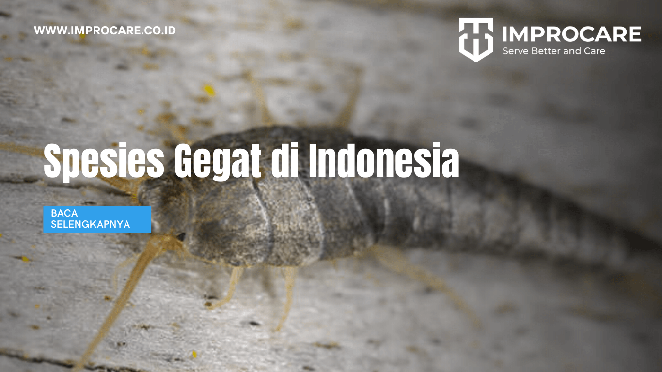 Spesies Gegat di Indonesia - PT Mahaka Improcare Indonesia