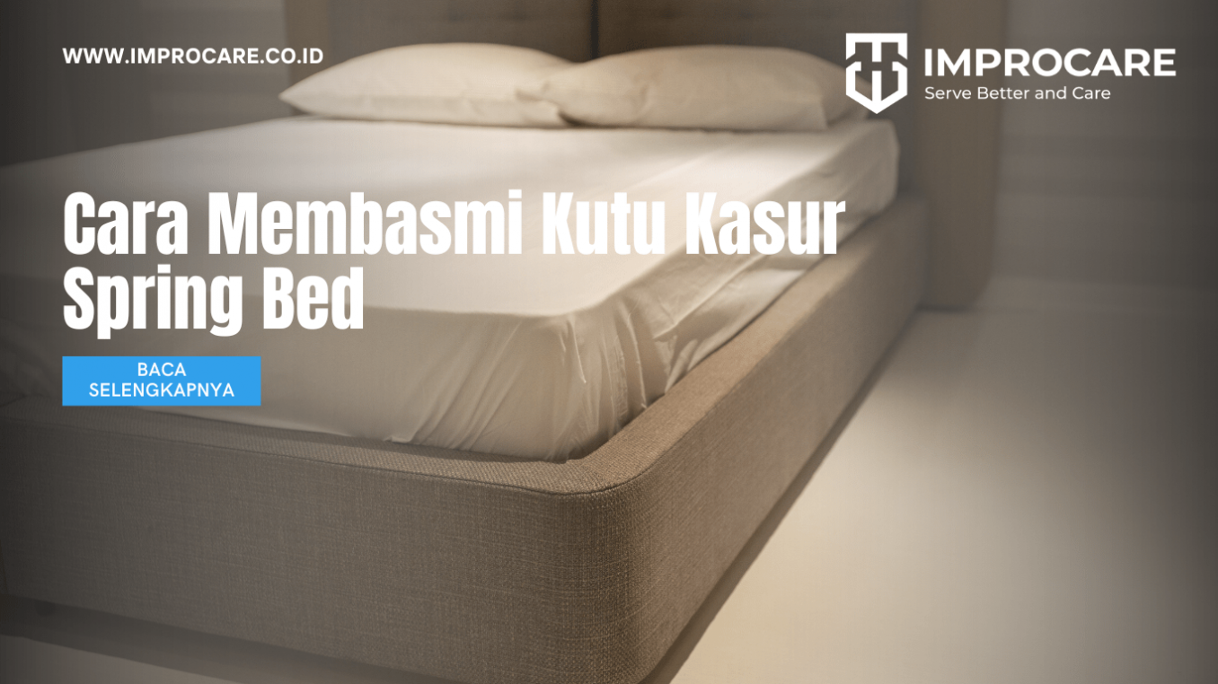 Cara Membasmi Kutu Kasur Spring Bed - PT Mahaka Improcare Indonesia