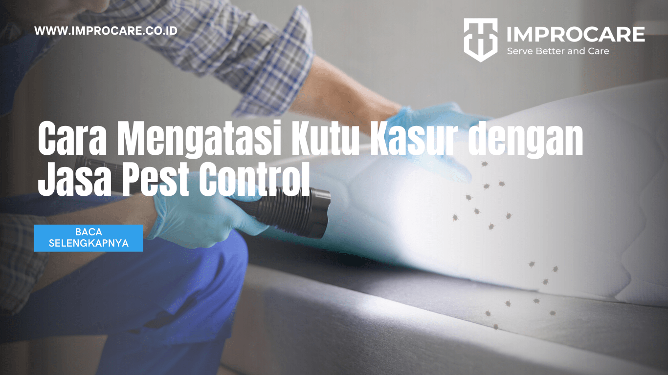 Cara Mengatasi Kutu Kasur dengan Jasa Pest Control - PT Mahaka Improcare Indonesia