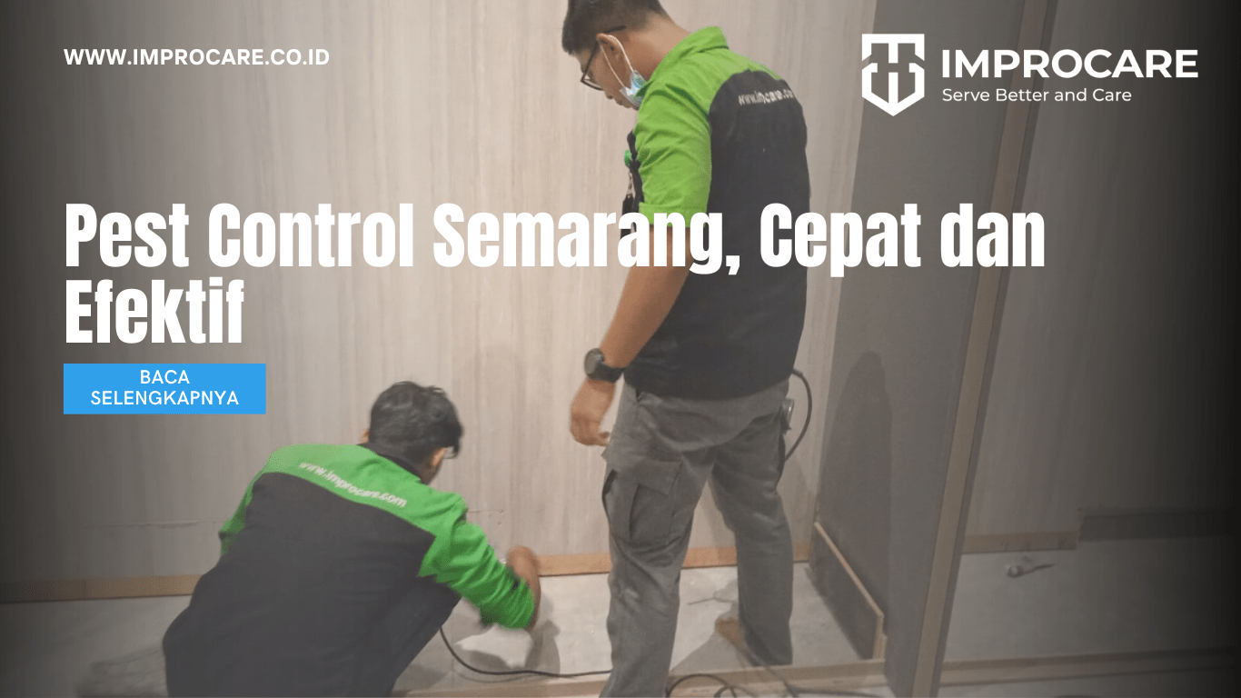 Pest Control Semarang, Cepat dan Efektif - PT Mahaka Improcare Indonesia