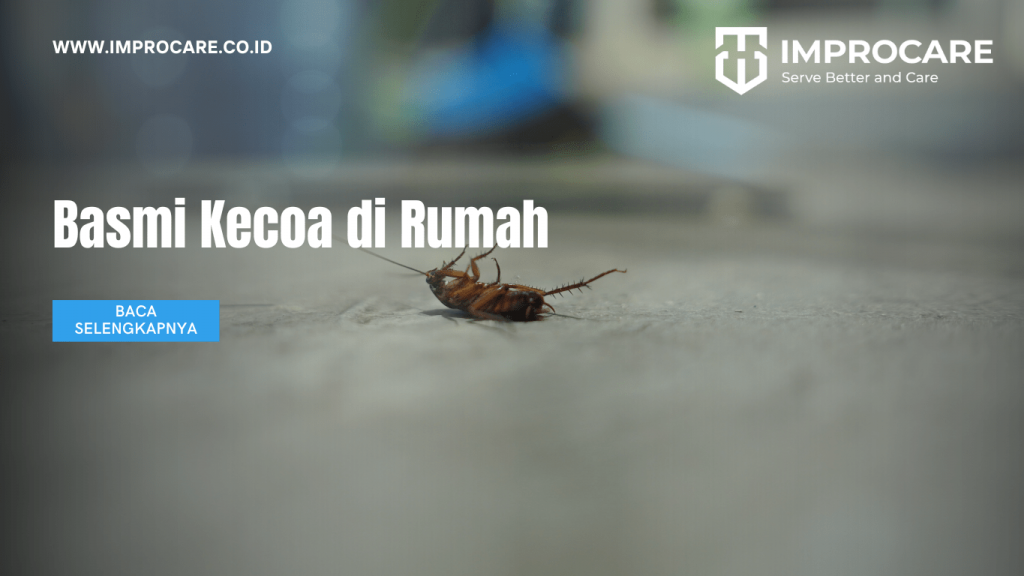 Basmi Kecoa di Rumah - PT Mahaka Improcare Indonesia