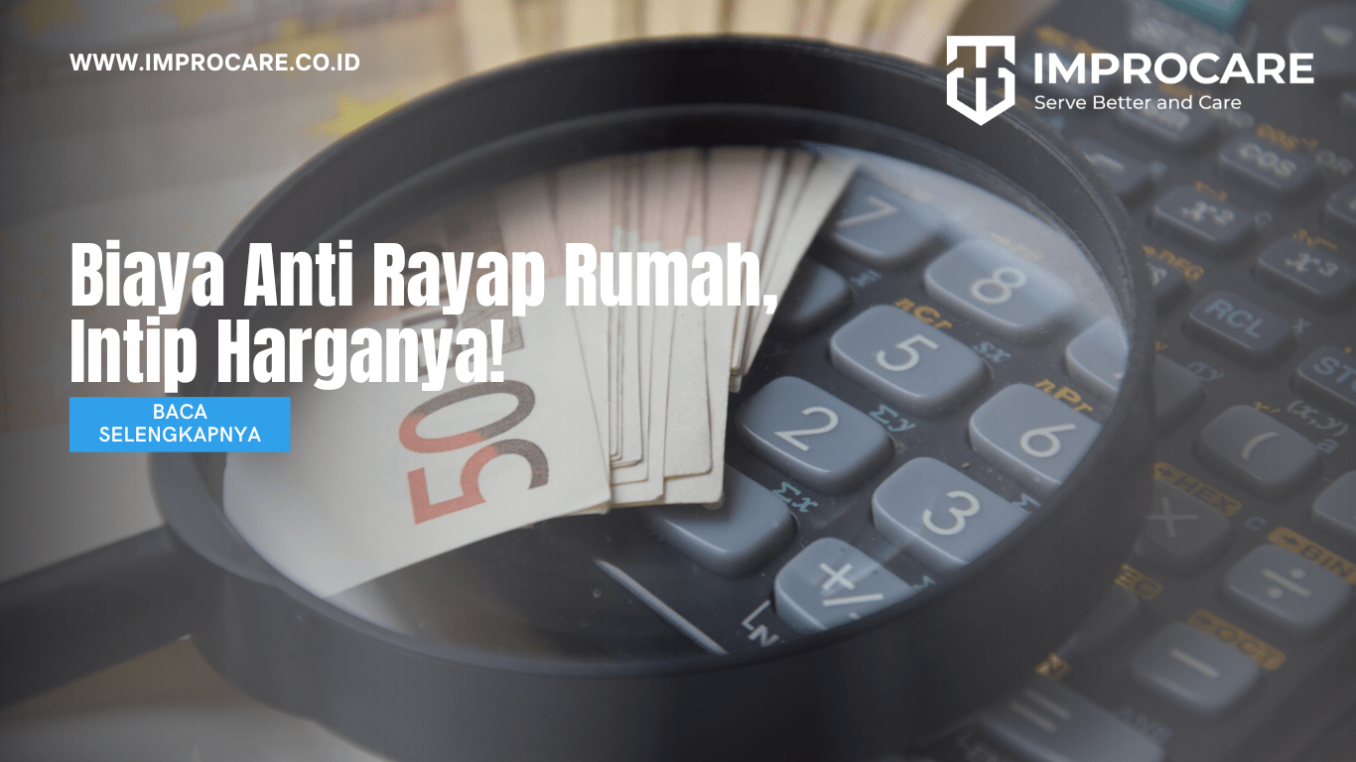 Biaya Anti Rayap Rumah, Intip Harganya! - PT Mahaka Improcare Indonesia