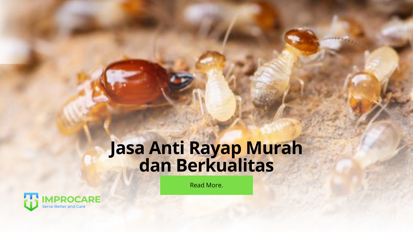 Jasa Anti Rayap Murah dan Berkualitas - PT Mahaka Improcare Indonesia