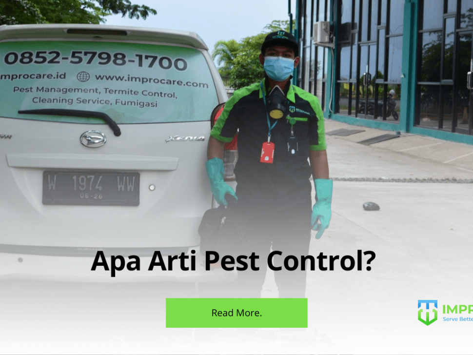 Blog - PT Mahaka Improcare Indonesia