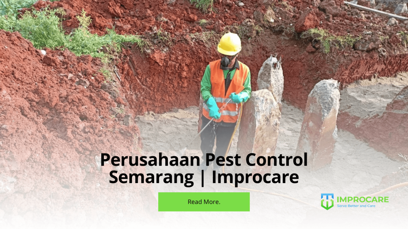 Perusahaan Pest Control Semarang | Improcare - PT Mahaka Improcare ...